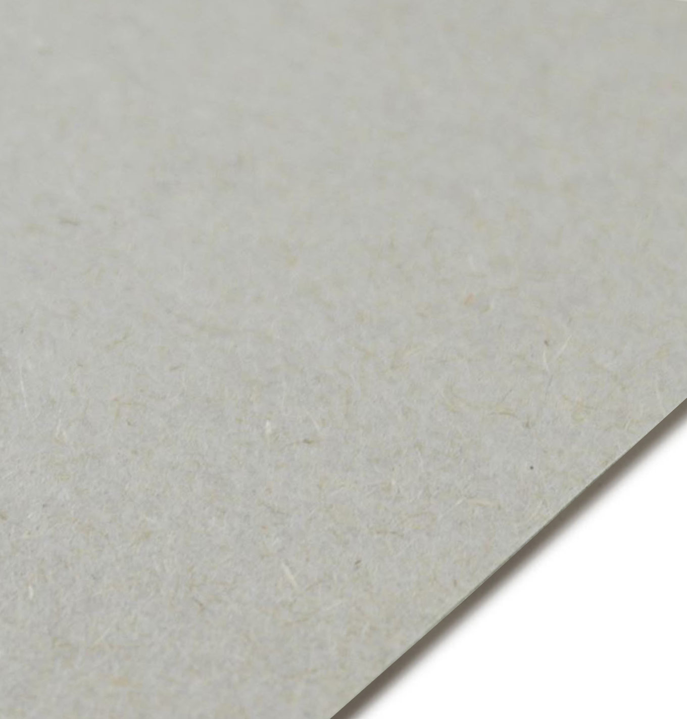 Services | Envelopes Only