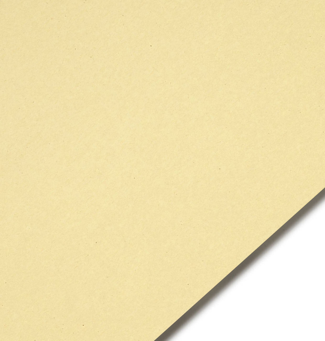 Services | Envelopes Only